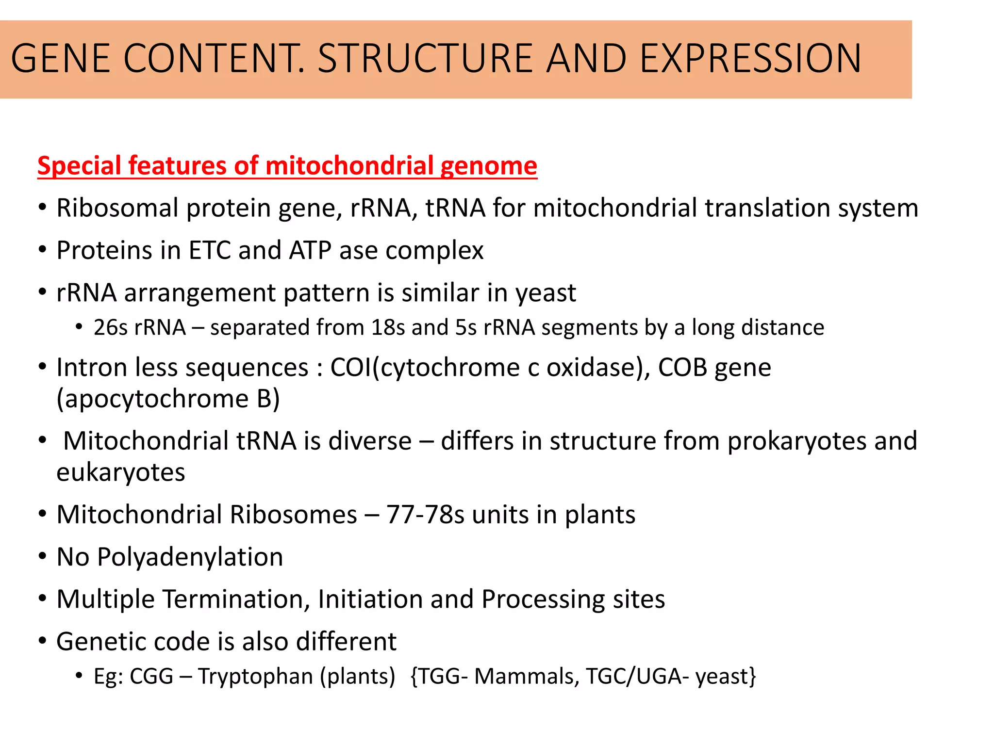 Mitochondrial Genome.pptx