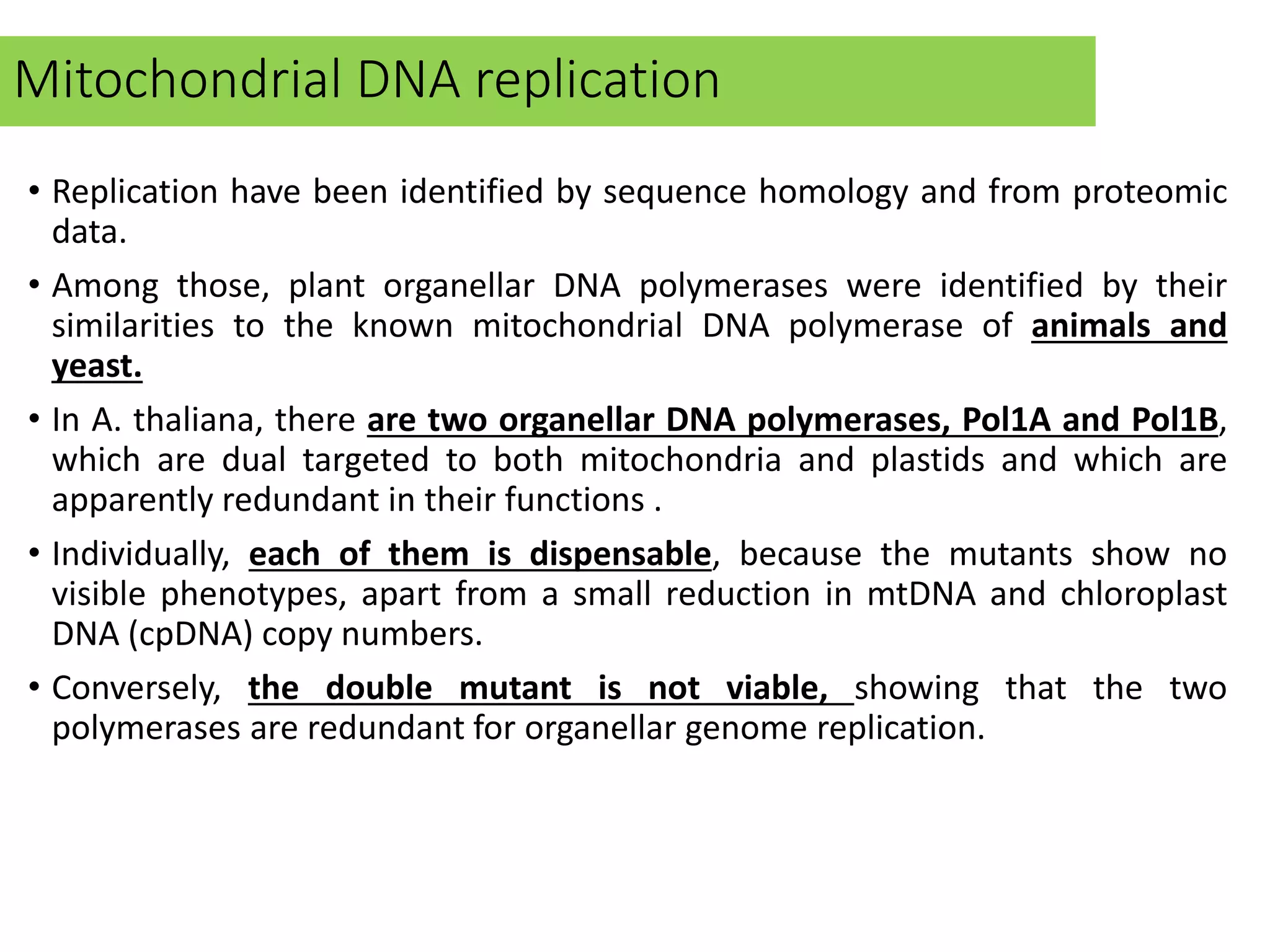 Mitochondrial Genome.pptx