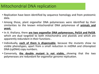 Mitochondrial Genome.pptx