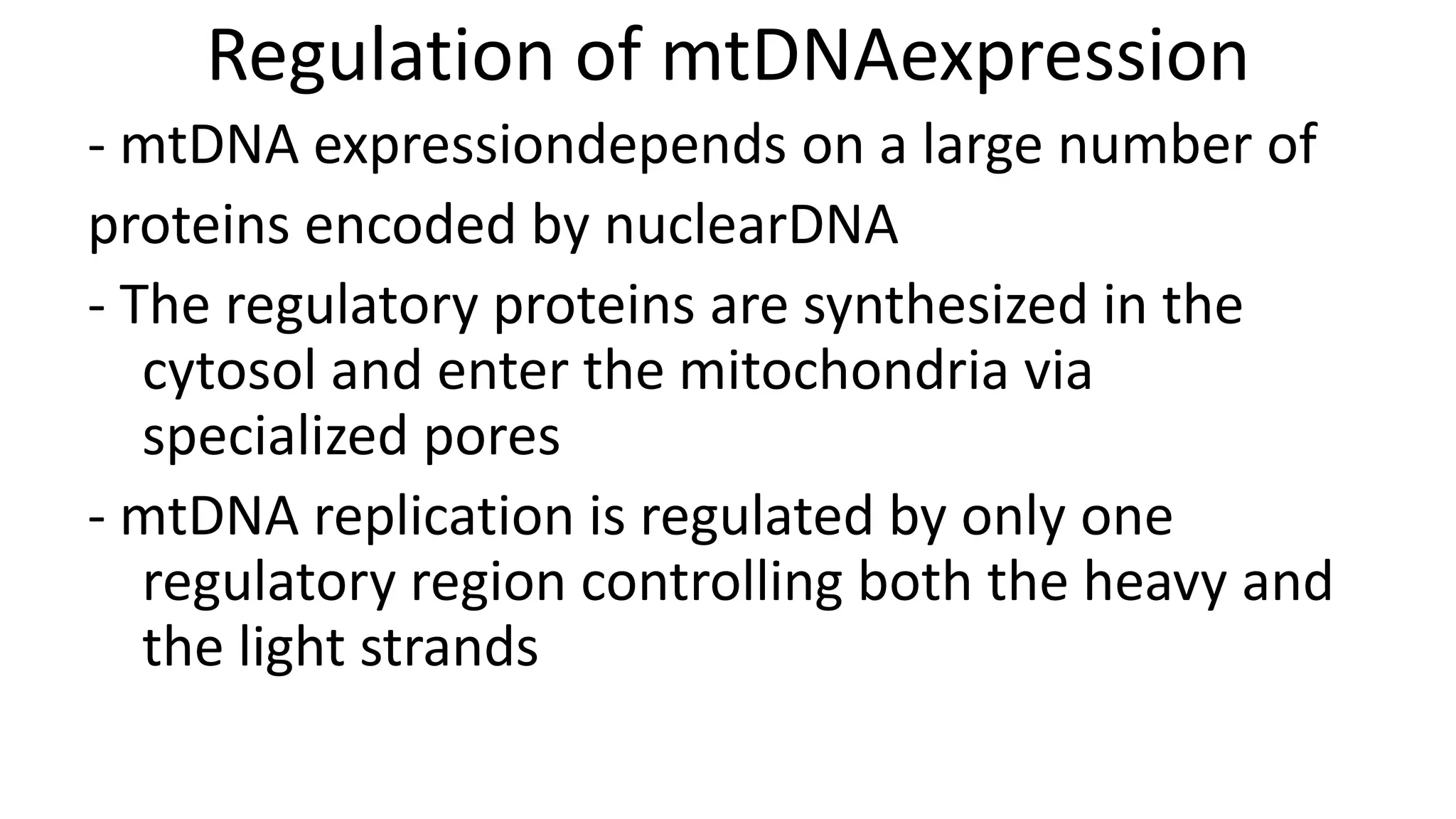 mitochondrial genome.pptx