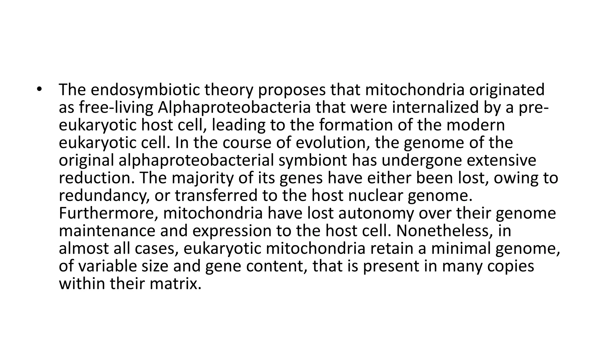 mitochondrial genome.pptx