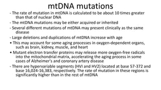 mitochondrial genome.pptx