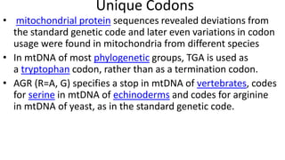 mitochondrial genome.pptx