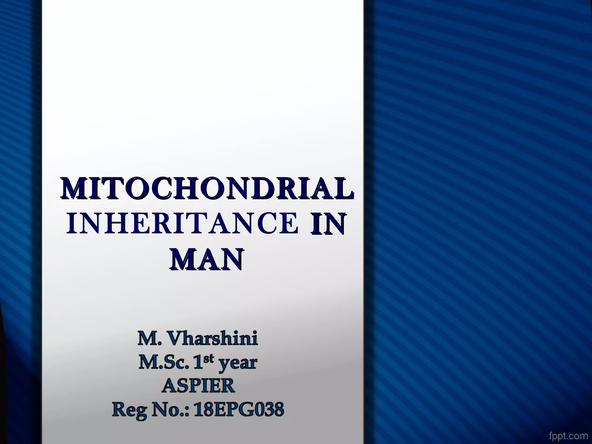 Mitochondrial Inheritance in Man | PPT