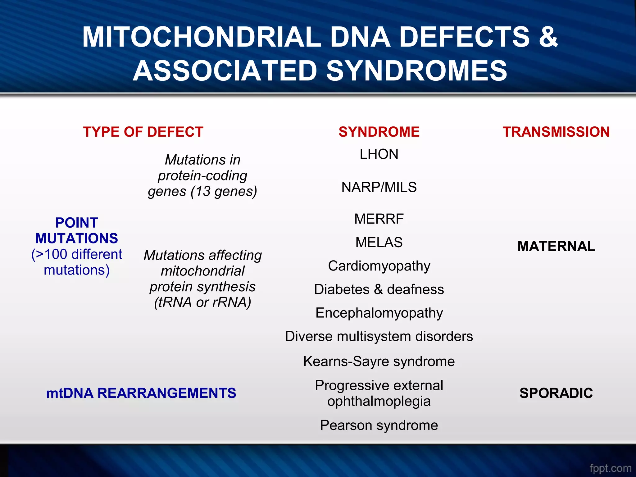 Mitochondrial Inheritance in Man | PPT