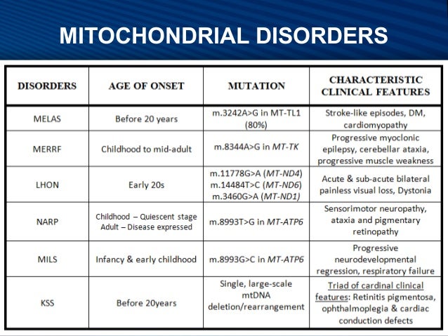 Mitochondrial Inheritance in Man