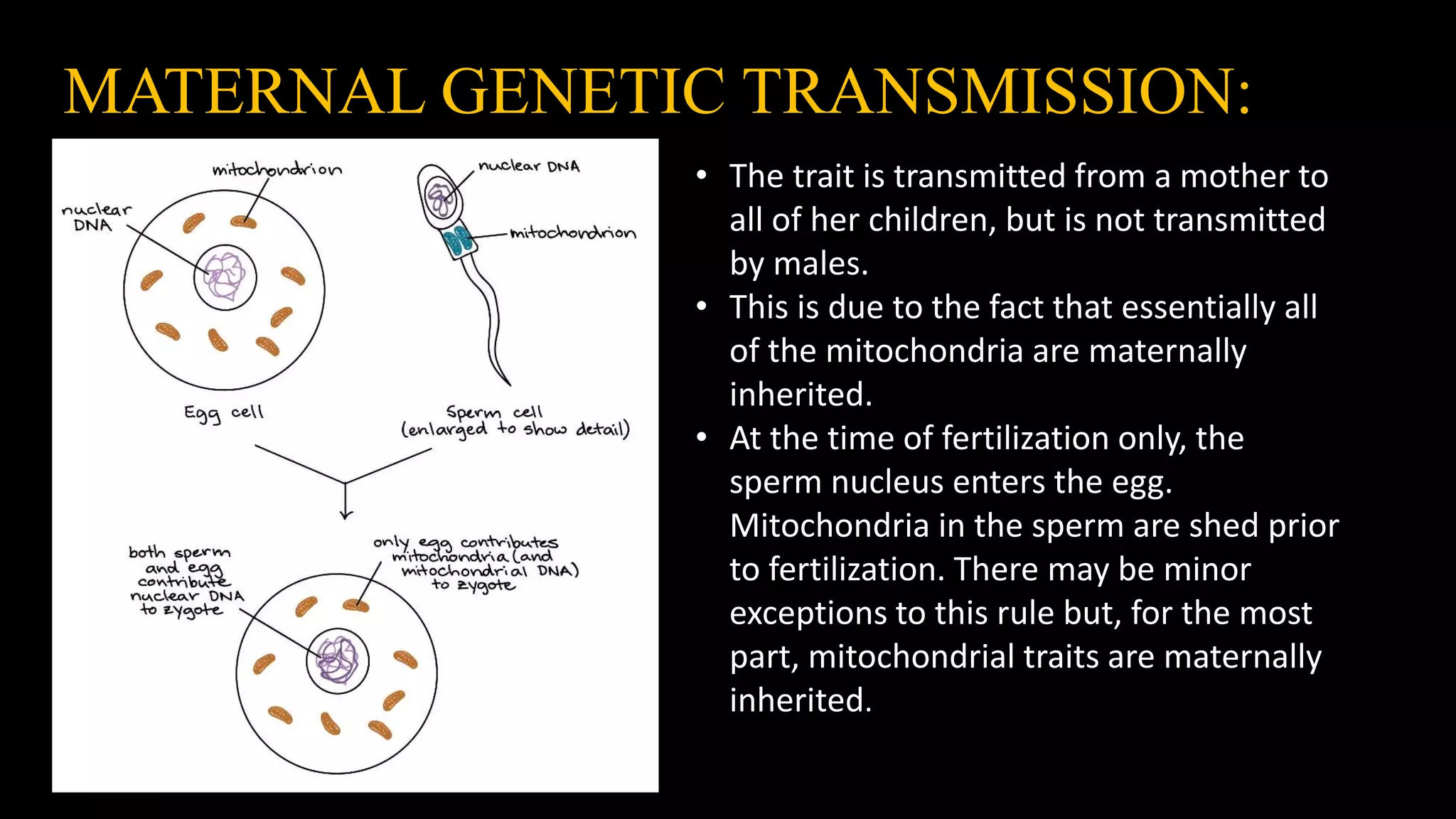 Mitochondrial inheritance | PPTX