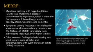 Mitochondrial inheritance | PPTX