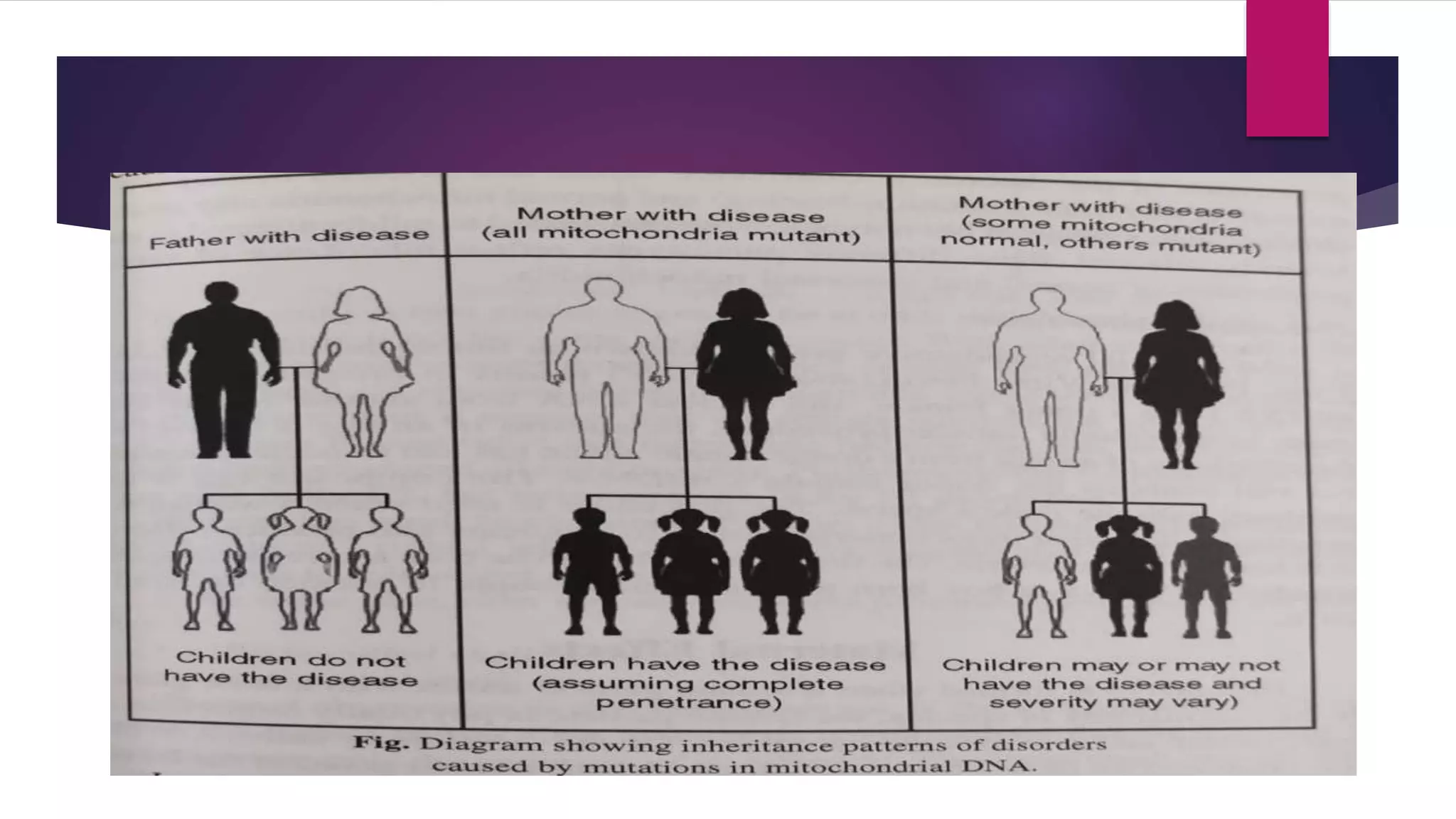 Mitochondrial Inheritance slideshare | PPTX