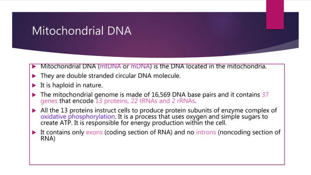 Mitochondrial Inheritance slideshare | PPTX