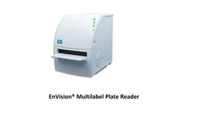 Mitochondrial membrane potential assay | PPT