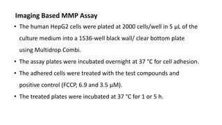 Mitochondrial membrane potential assay | PPT