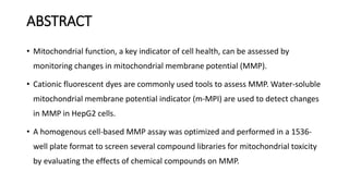 Optimize Cell Membrane Potential