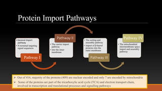Mitochondrial omics | PPTX