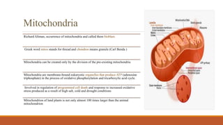 Mitochondrial omics | PPTX