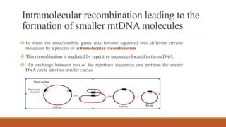 Mitochondrial omics | PPTX