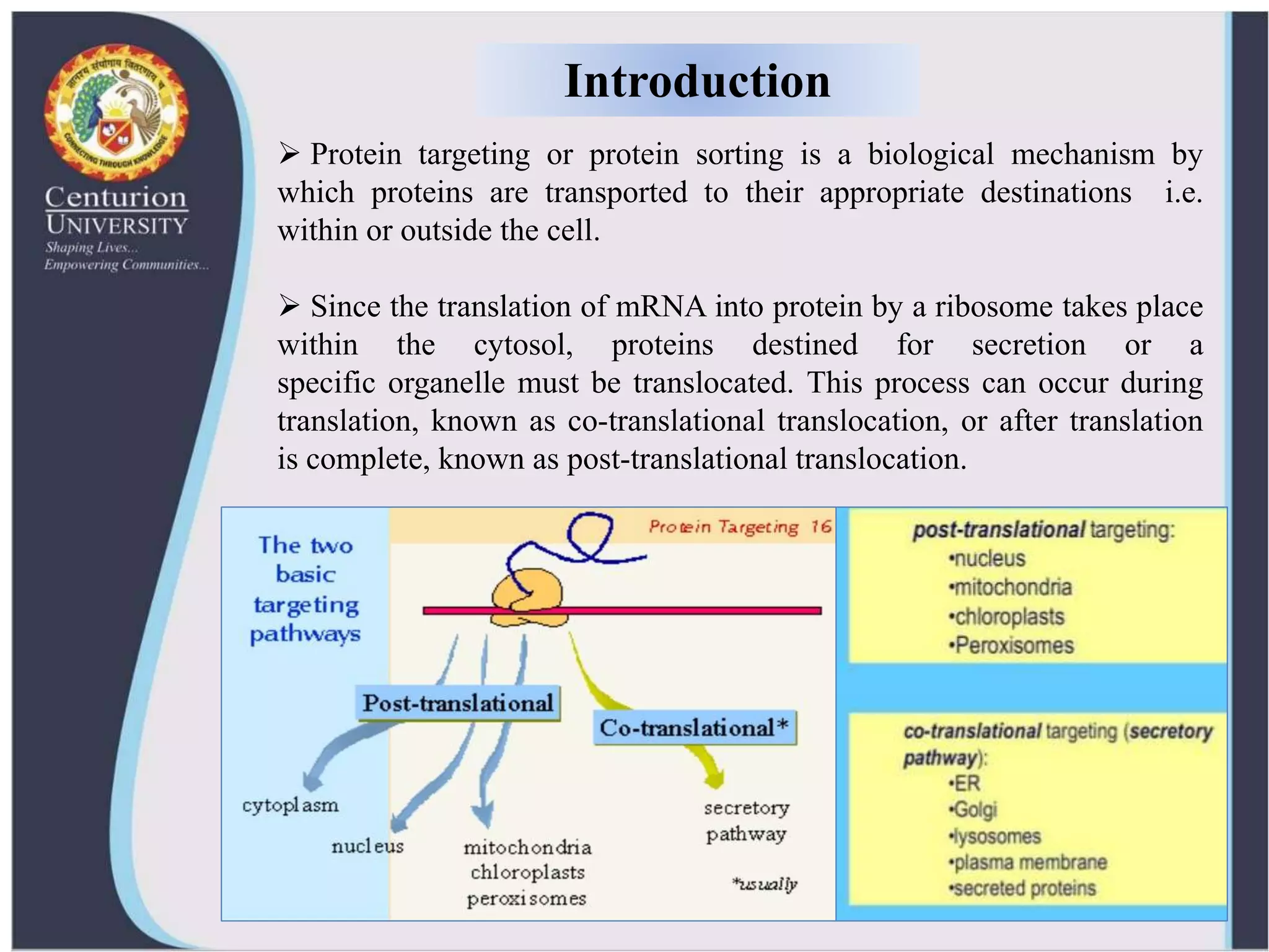 Mitochondrial protein targeting | PPTX