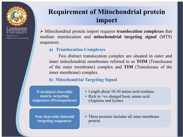 Mitochondrial protein targeting | PPTX | Genetics | Science