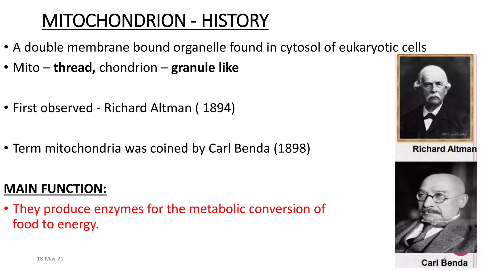 Mitochondria , peroxisome and lysosome | PPTX