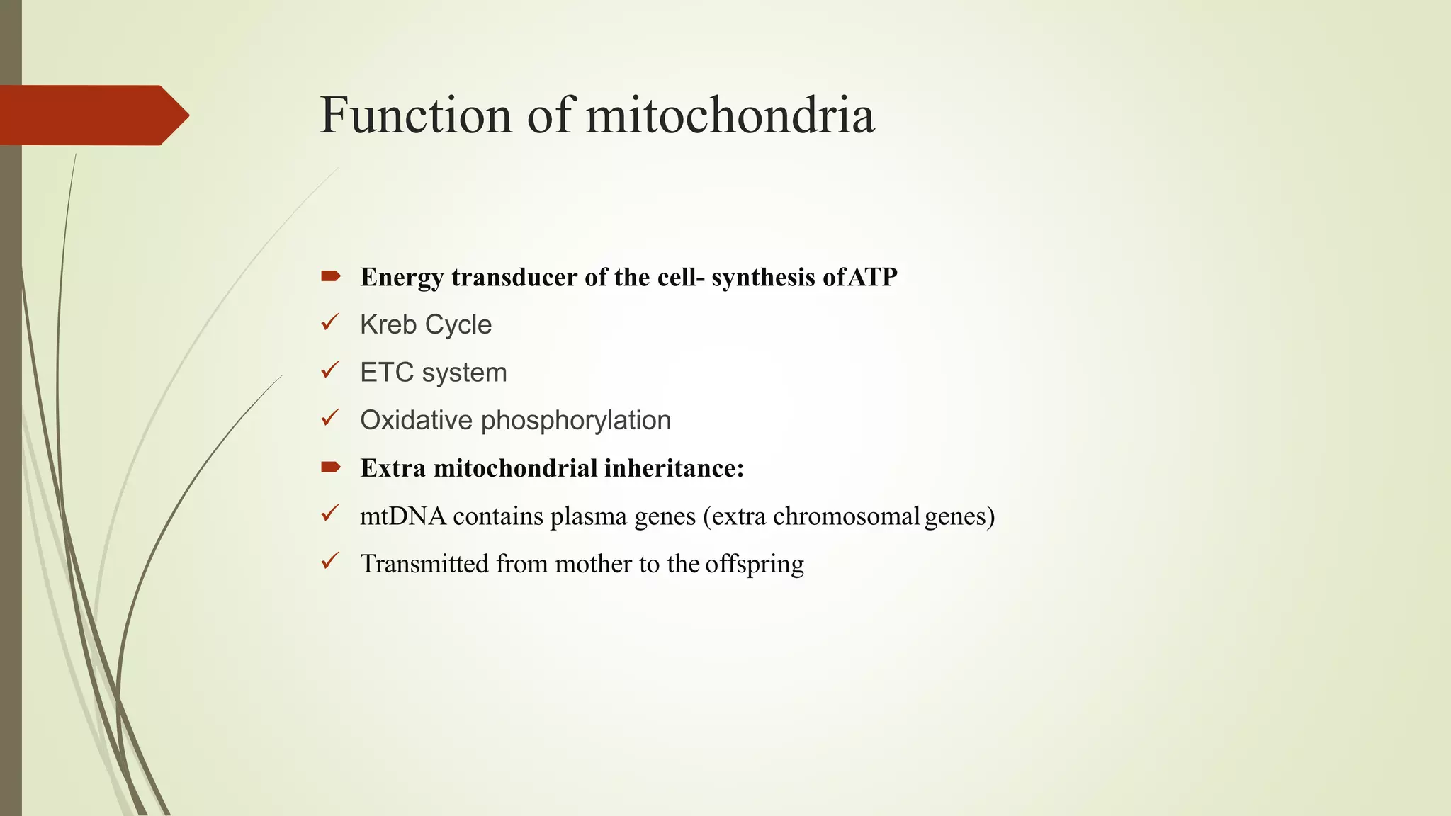 Mitochondria ( power house of cell) | PPTX