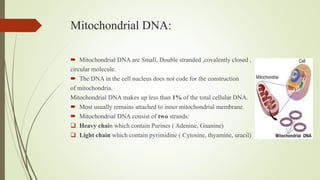 Mitochondria ( power house of cell) | PPTX