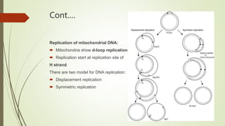 Mitochondria ( power house of cell) | PPTX