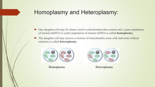 Mitochondria ( power house of cell) | PPTX