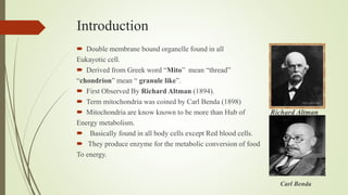 Mitochondria ( power house of cell) | PPTX