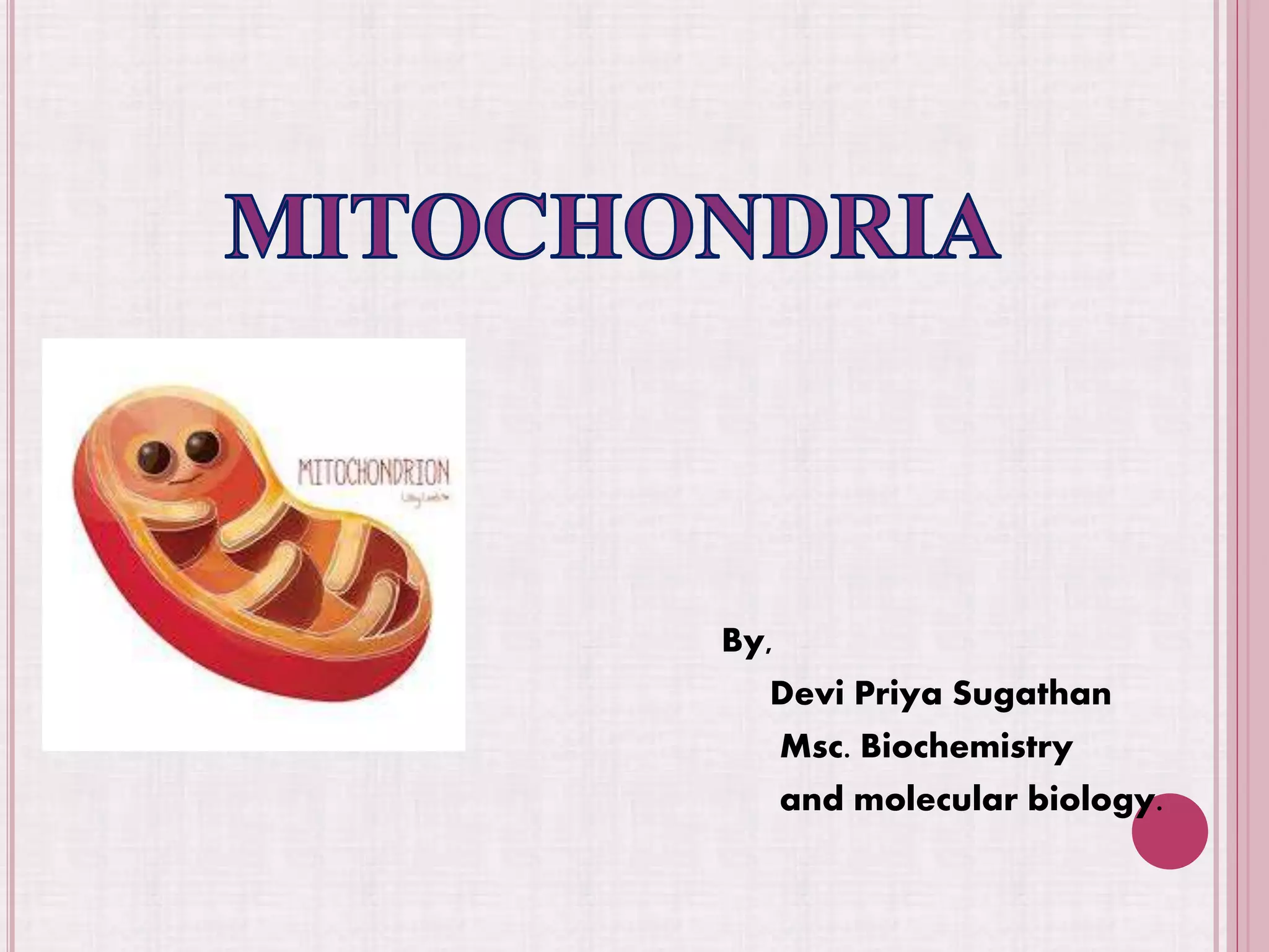 Mitochondria ppt | PPTX