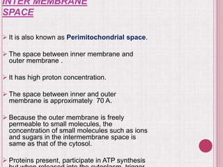 Mitochondria ppt | PPTX