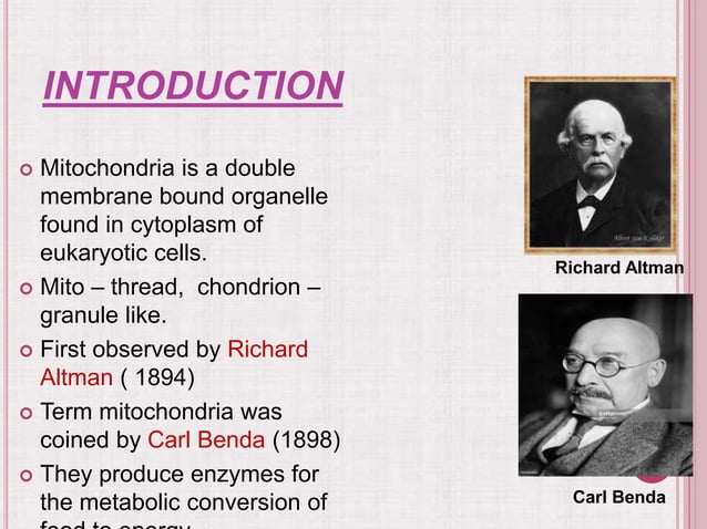 Mitochondria ppt | PPTX | Biological Sciences | Science