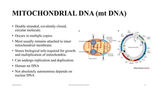 Mitochondria p pt. | PPTX