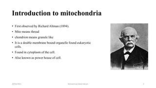 Mitochondria p pt. | PPT