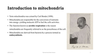 Mitochondria p pt. | PPTX