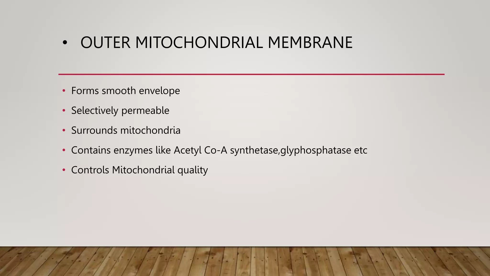 mitochondria ppt. | PPTX