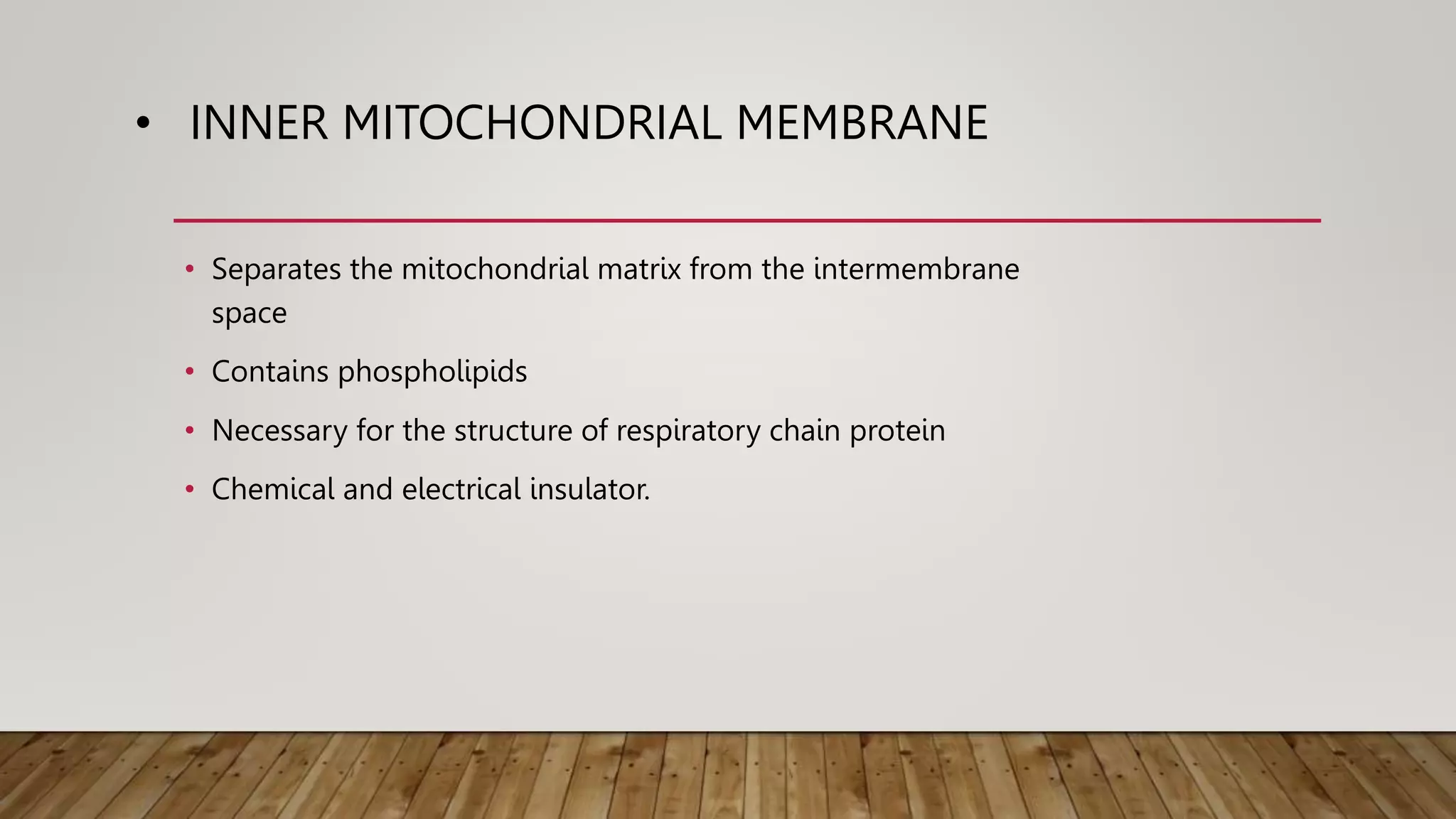 mitochondria ppt. | PPTX