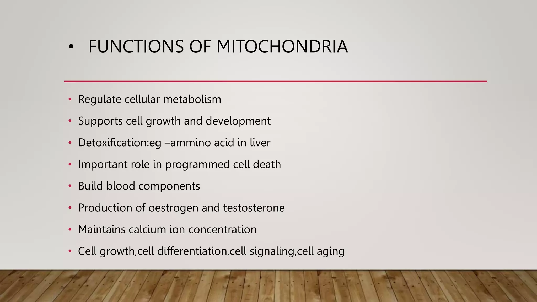 mitochondria ppt. | PPTX