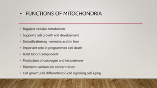 mitochondria ppt. | PPTX