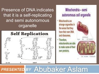 Mitochondria presentation for all kind of zoology and biology students ...