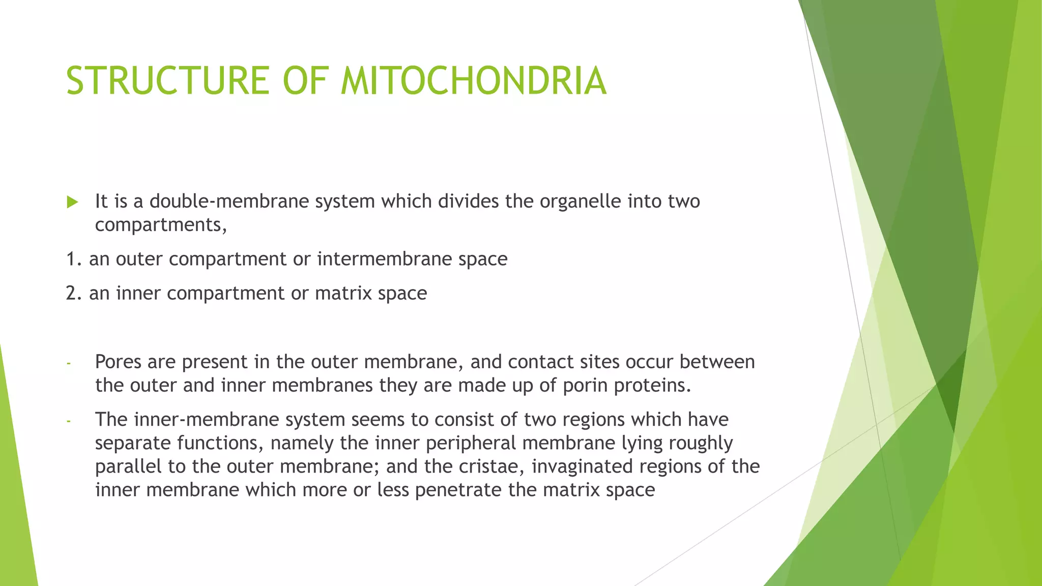 Mitochondria , its importance in neurosciences | PPTX