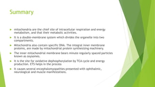 Mitochondria , its importance in neurosciences | PPT