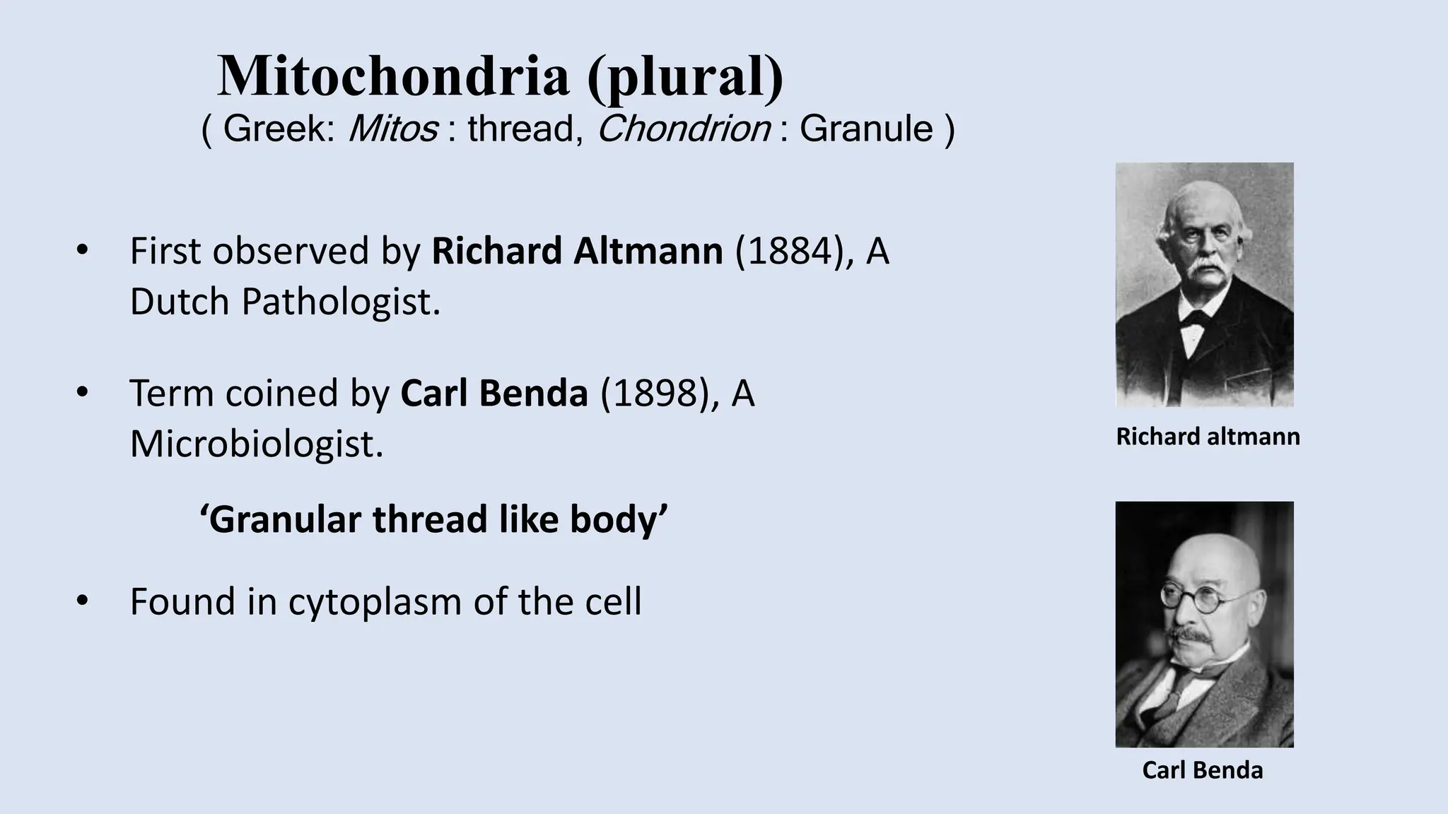 Mitochondria : Powerhouse of the Cell | PPTX