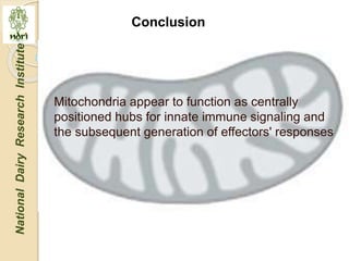 Mitochondria role in signaling and innate immunity | PPTX