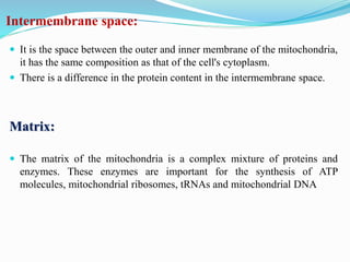 Mitochondria structure | PPTX