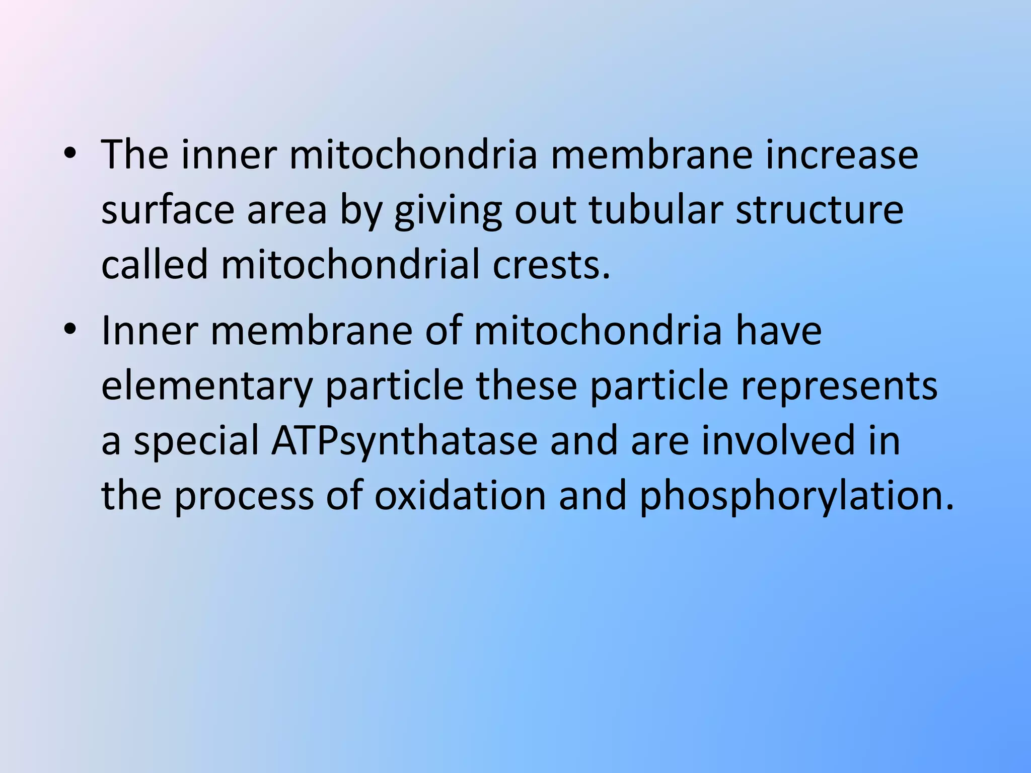 Mitochondria structure and function | PPTX