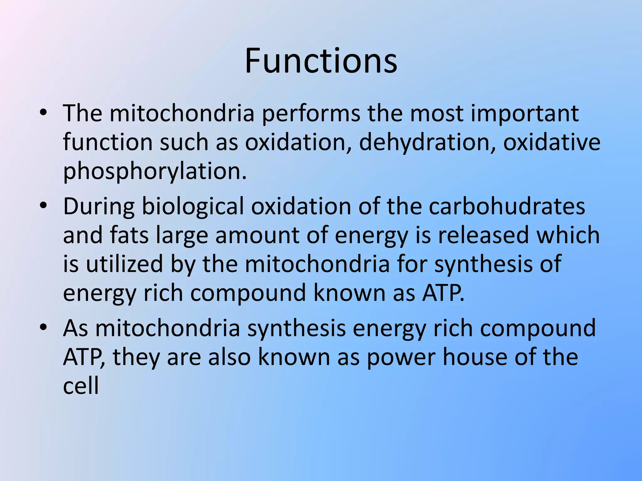 Mitochondria structure and function | PPTX