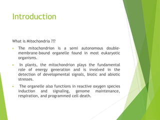 Mitochondria transformation | PPT