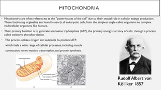 Mitochondria : Why Power House Of the Cell.pptx