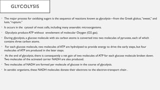 Mitochondria : Why Power House Of the Cell.pptx