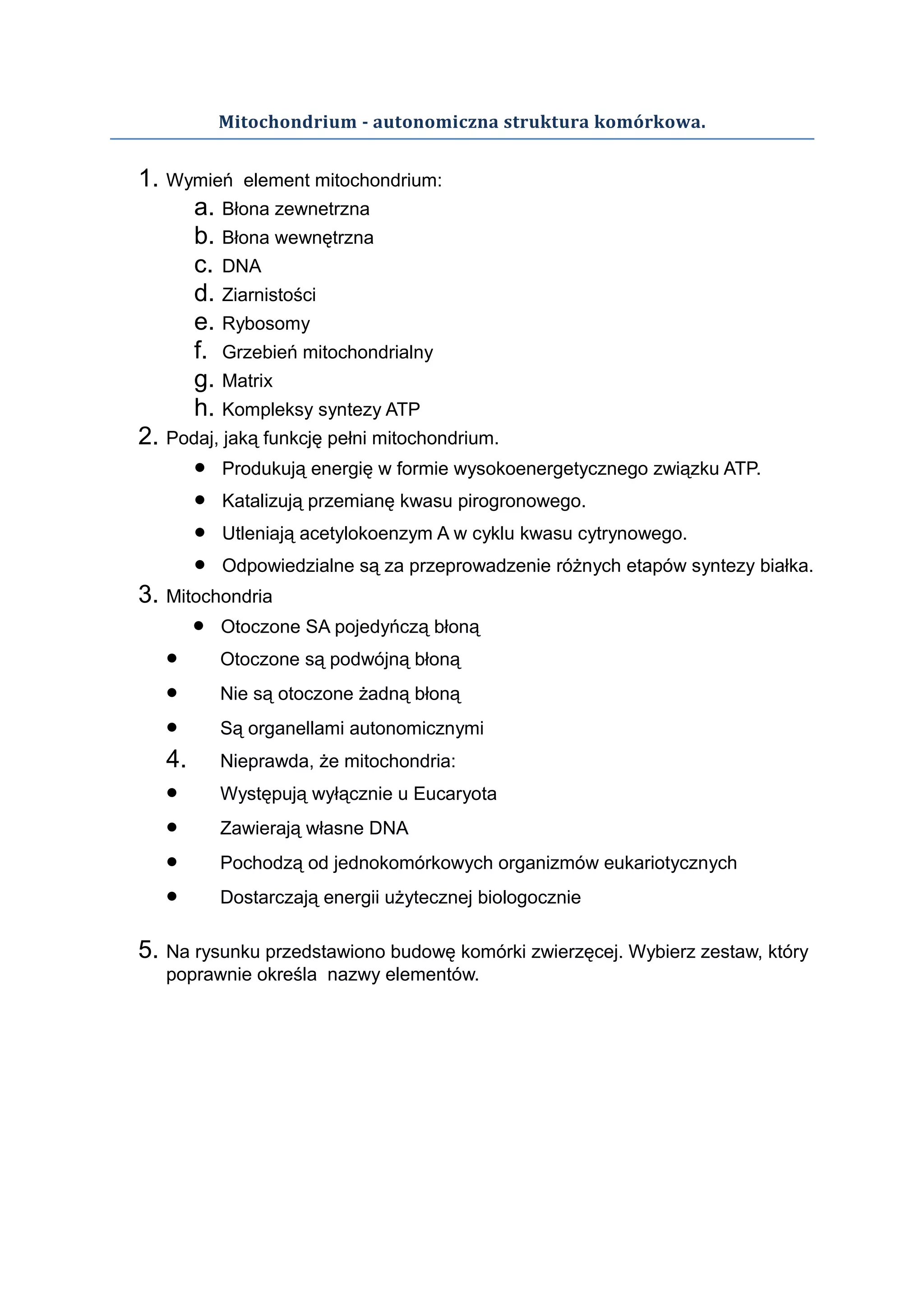 Mitochondrium pl 1 | PDF
